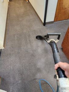 What is the difference between encapsulation carpet cleaning and steam ...