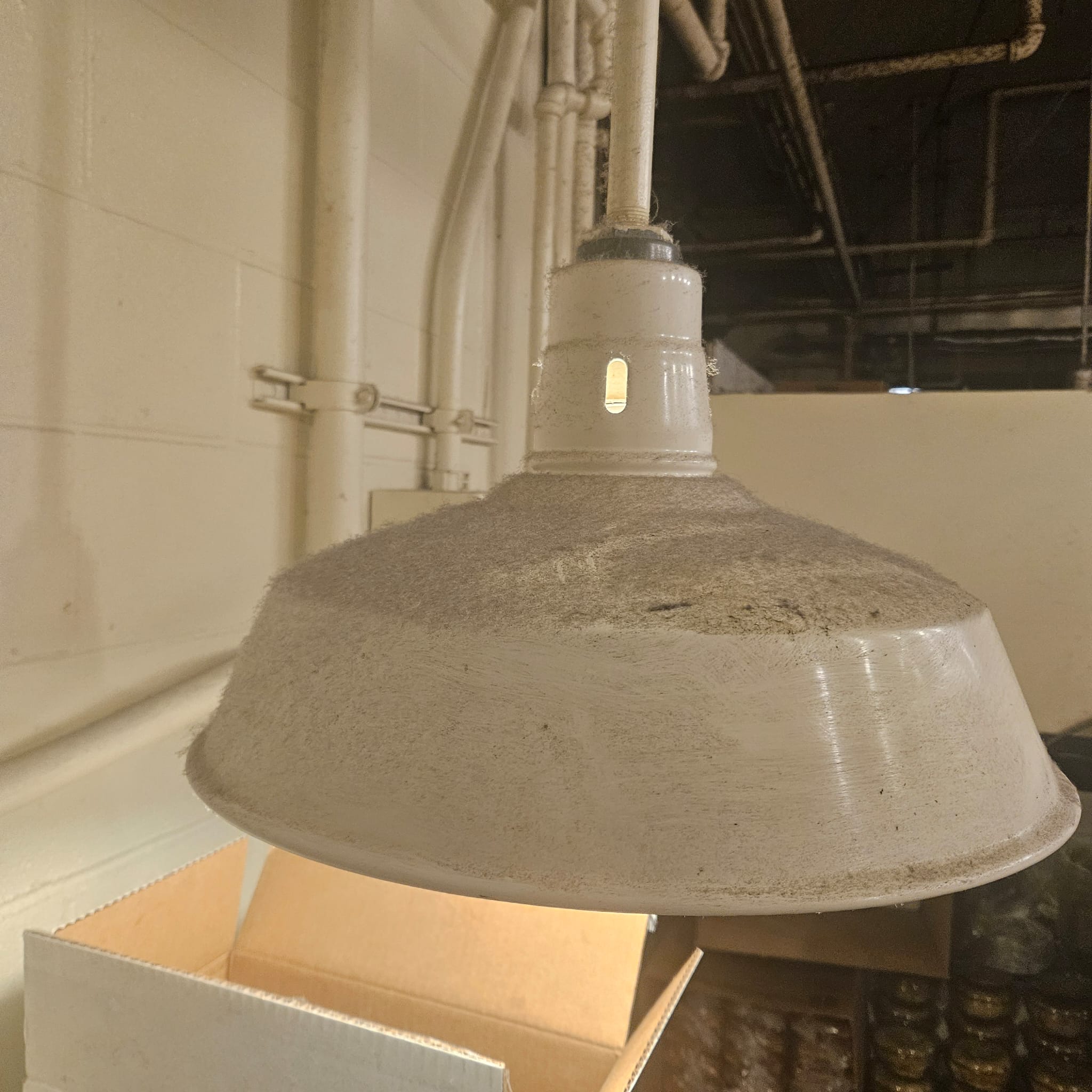 What Is Dust Made Of and Why Should You Dust Hard-to-Reach Areas ...