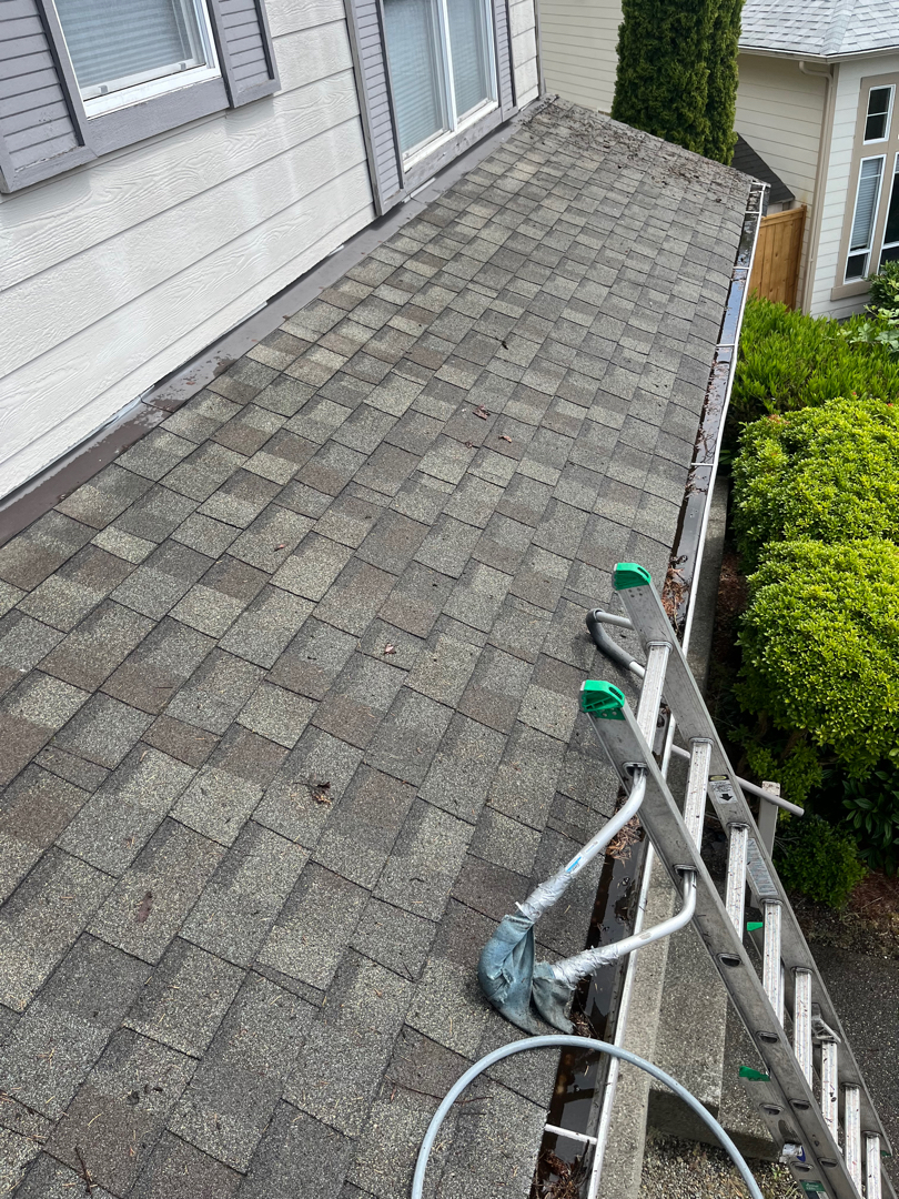 Professional Roof and Gutter Cleaning in Portland - Sound Clean